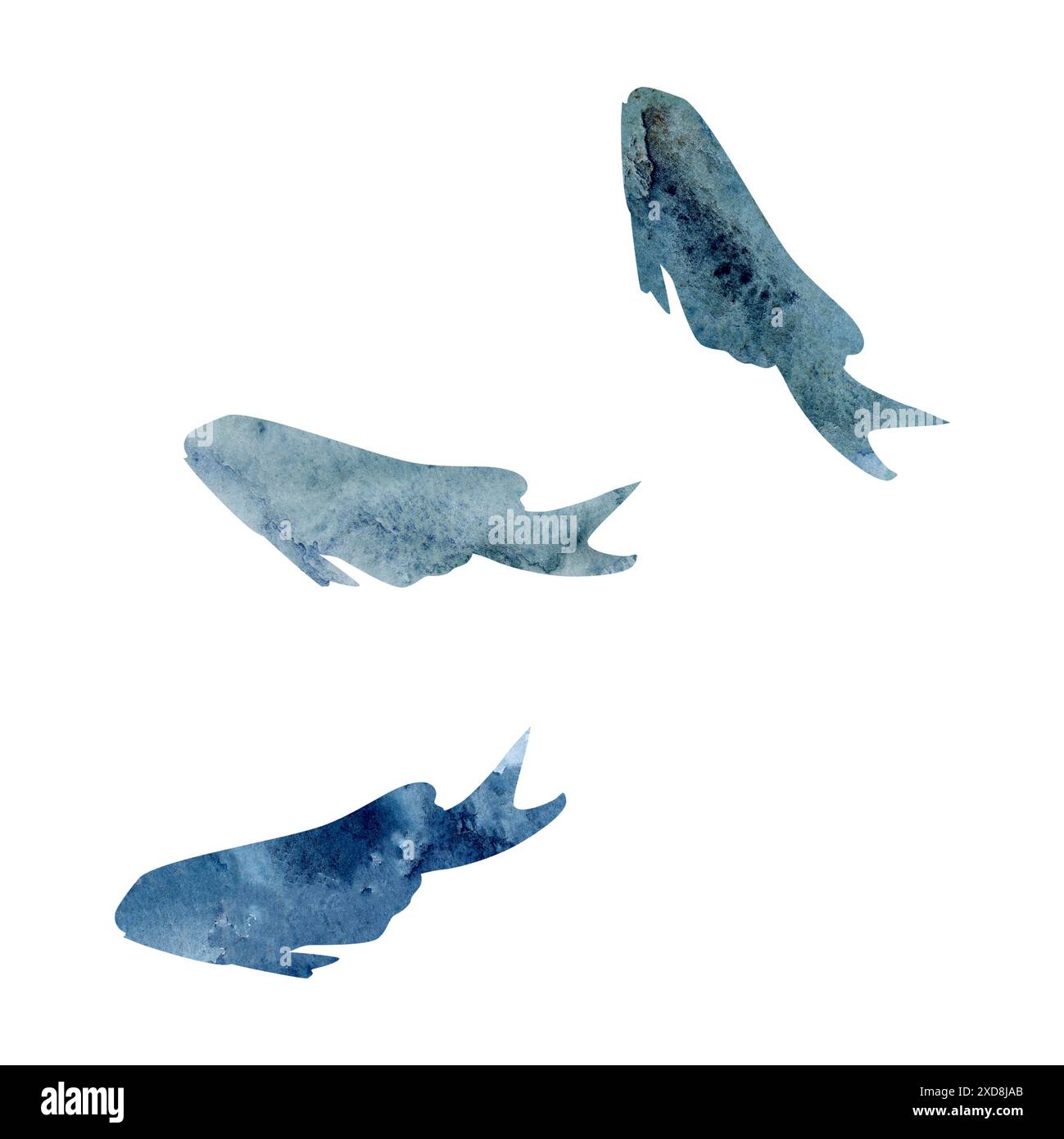 Watercolor and ink hand drawn marine life, sea ocean underwater ...