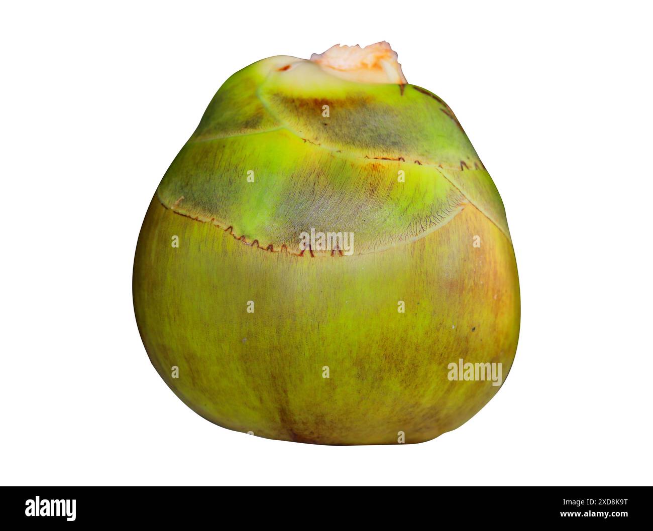 Ice Apple is isolated on a transparent background Stock Photo - Alamy