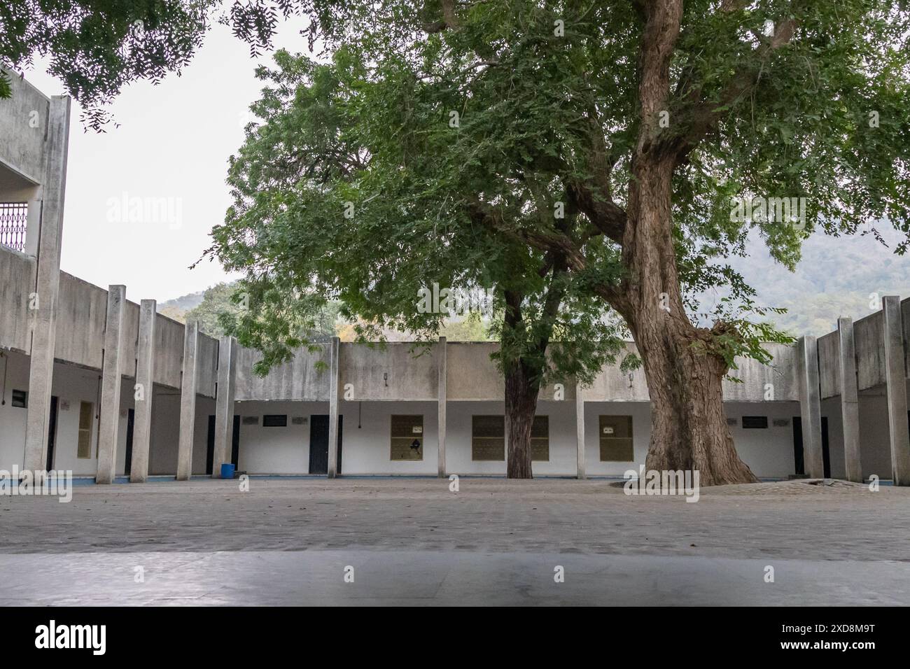 isolated vacant building with big tree at the center at day from flat ...
