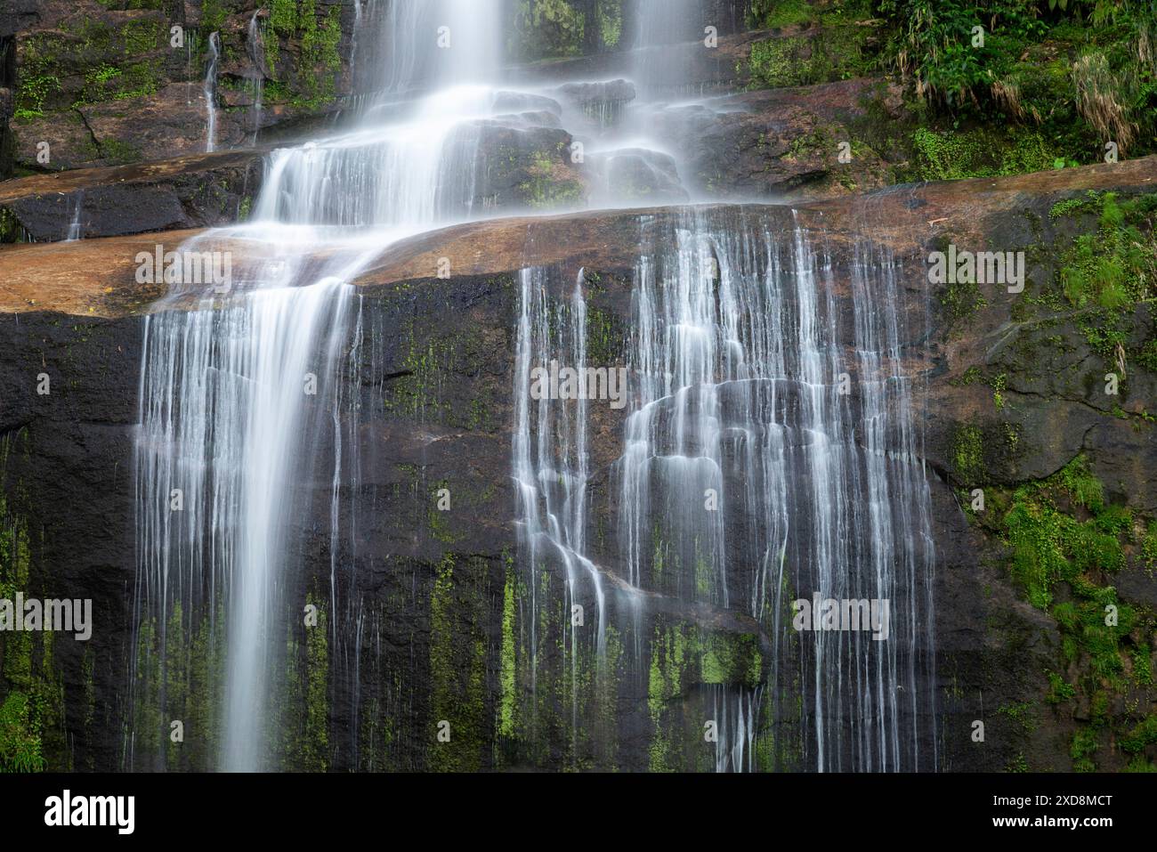 Beautiful waterfall in green rainforest area Stock Photo - Alamy