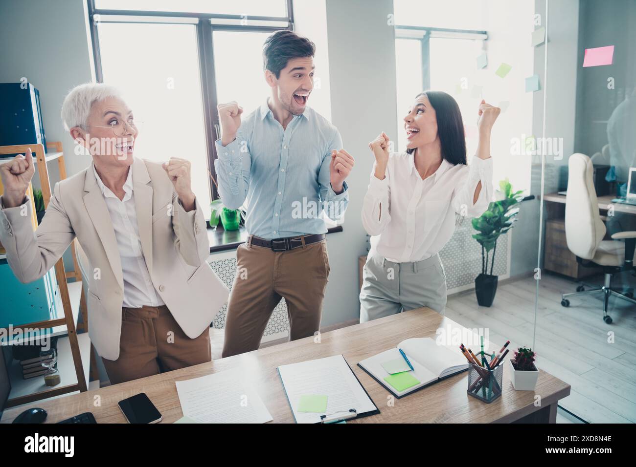 Photo of two employees mature boss woman winning collaborating new ...