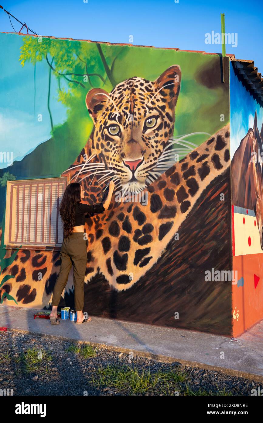 Woman painting leopard mural on building wall during daytime Stock ...