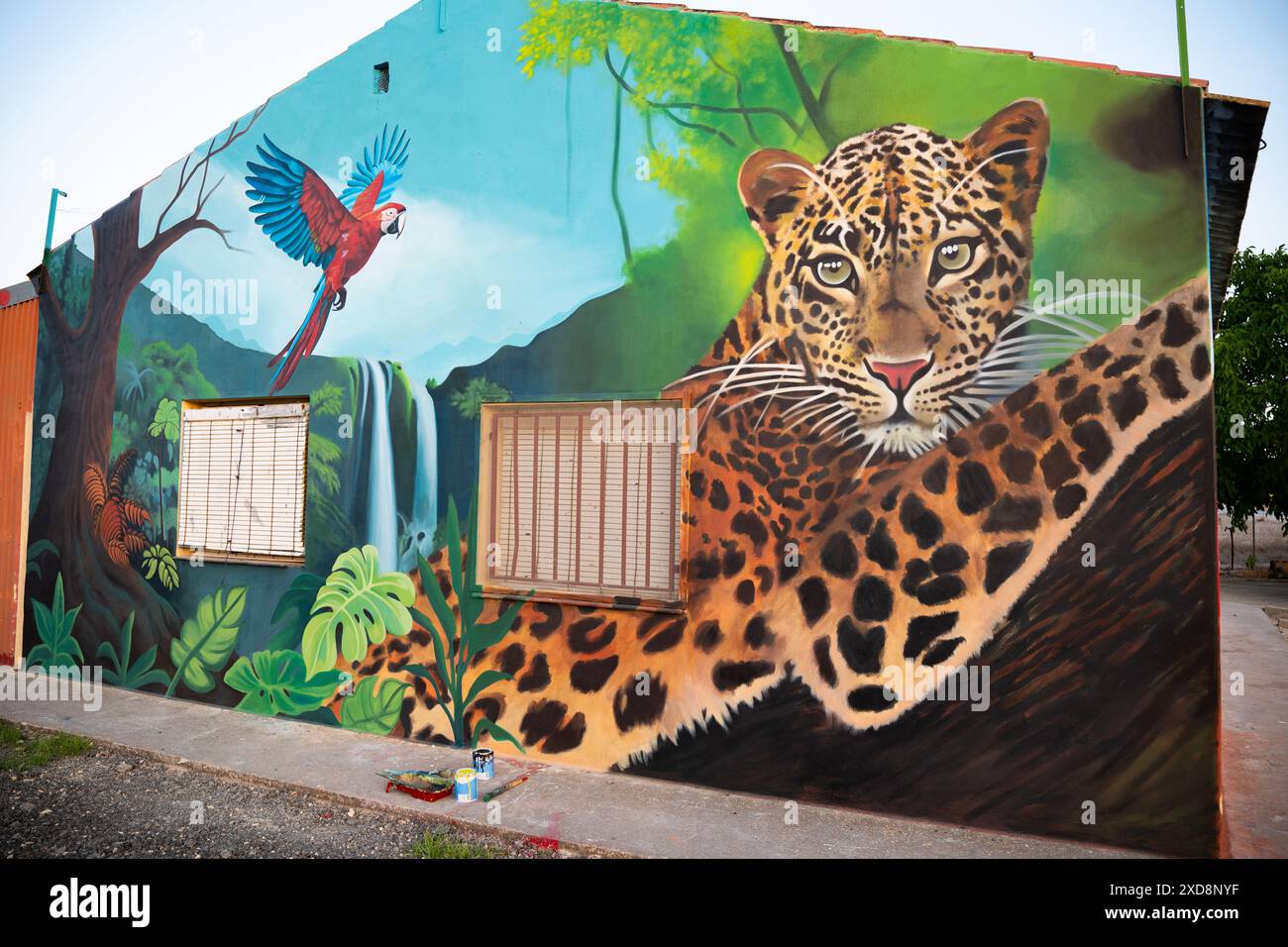 Colorful leopard and macaw mural painting on building wall Stock Photo ...