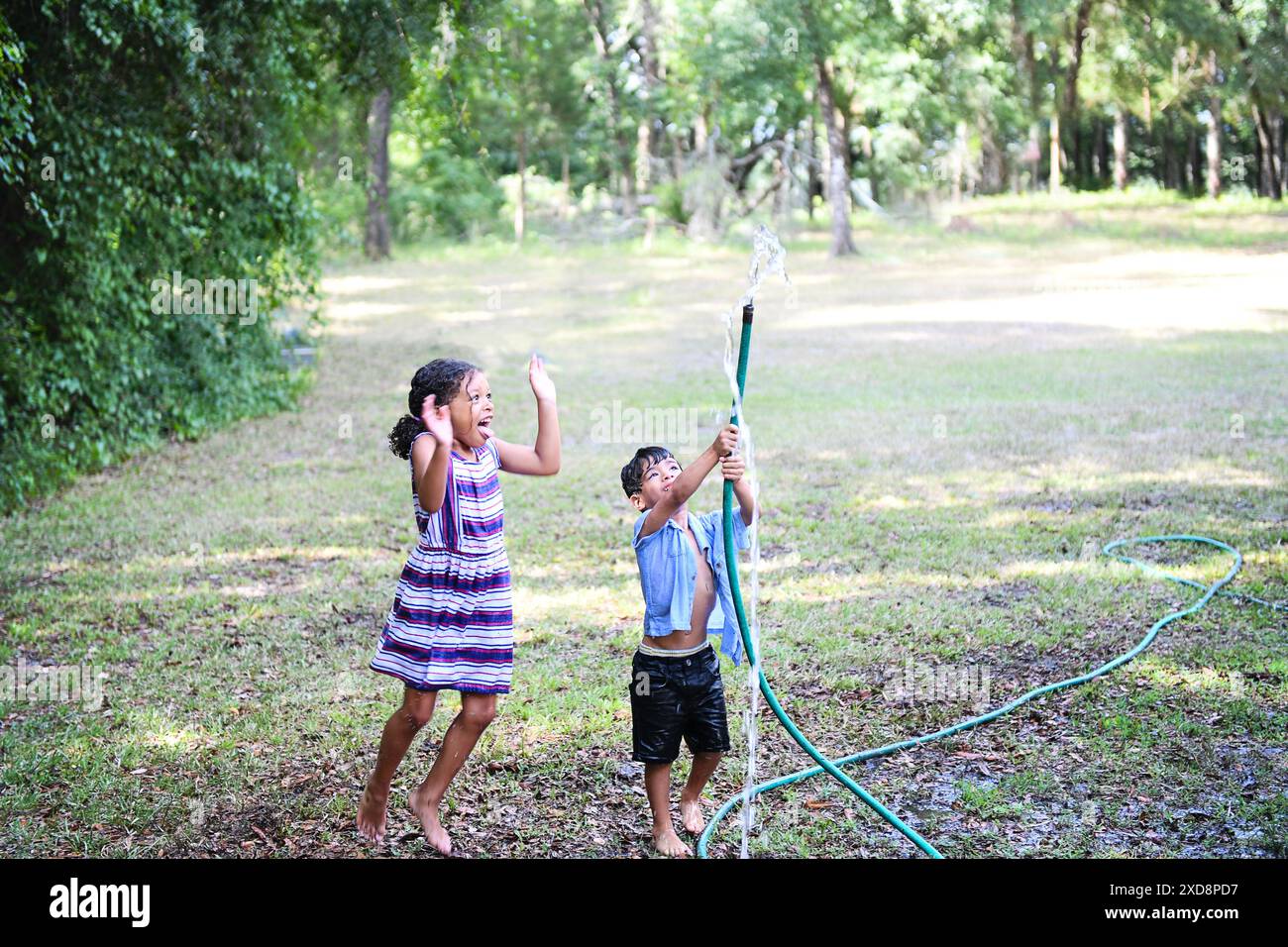Two children playing with a garden hose in a backyard, laughing Stock ...