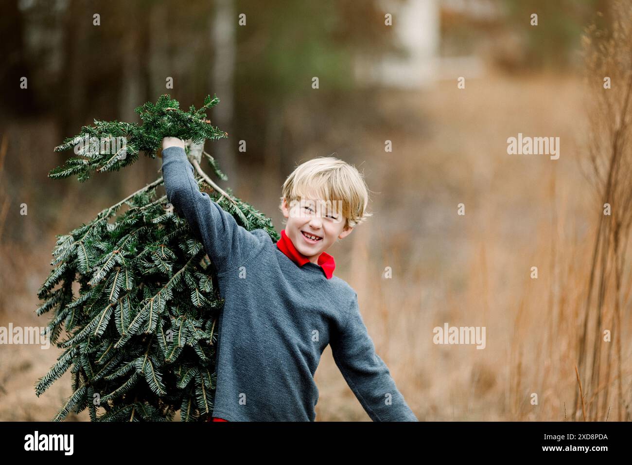 Boy carrying a Christmas tree outdoors Stock Photo - Alamy