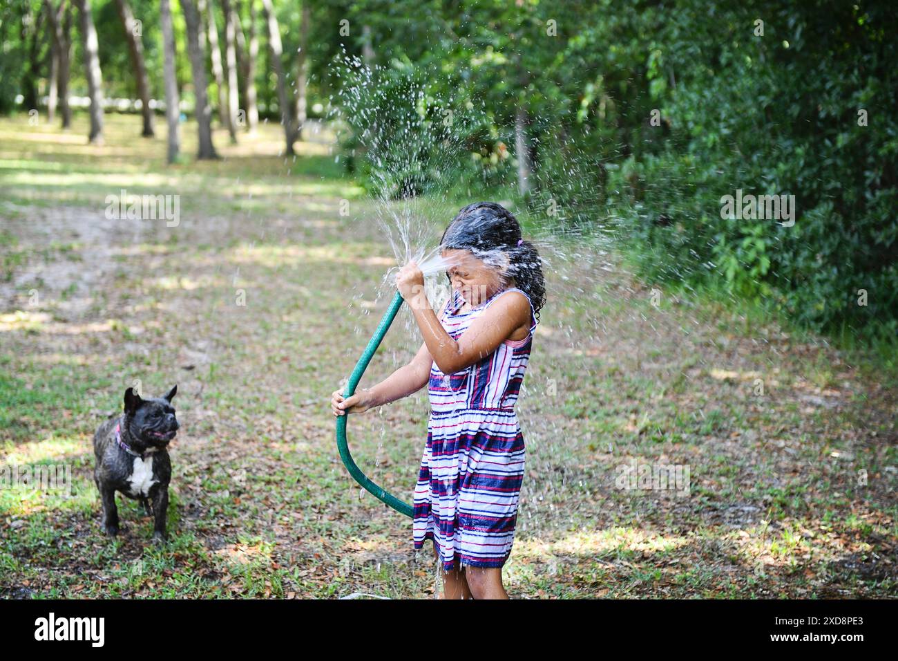Girl spraying herself with a garden hose in the yard while a dog Stock ...