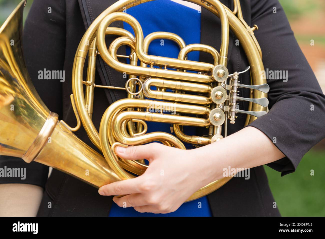 Blue French Horn in cradle Stock Photo - Alamy
