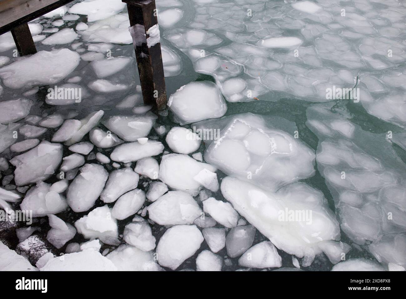 Floating ice chunks in Boston Seaport Stock Photo - Alamy