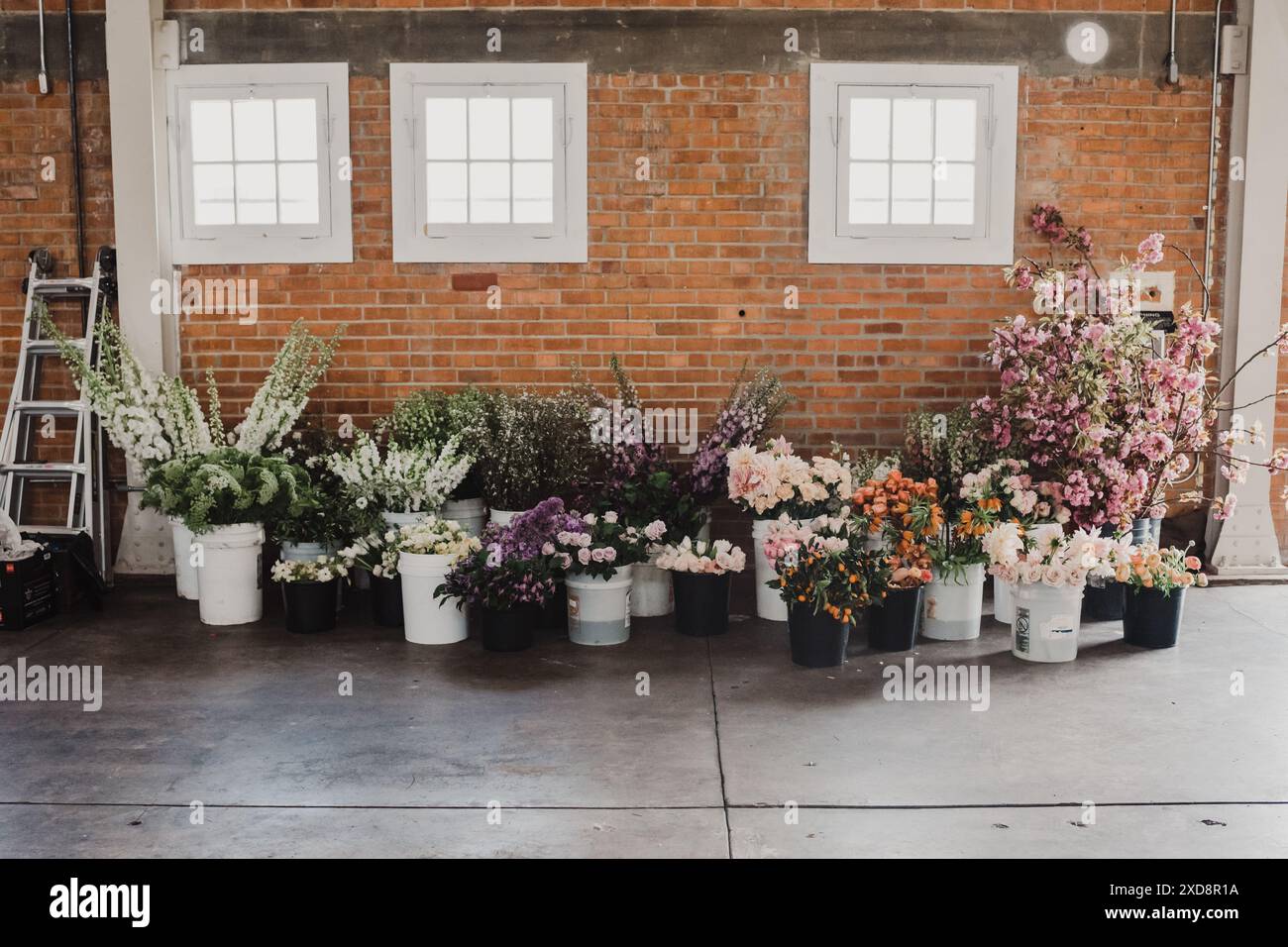 flowers in buckets against brick wall Stock Photo - Alamy