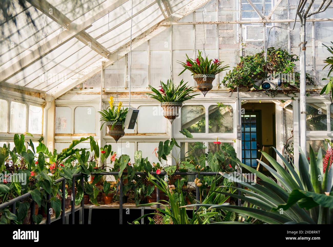 Greenhouse entry hi-res stock photography and images - Alamy