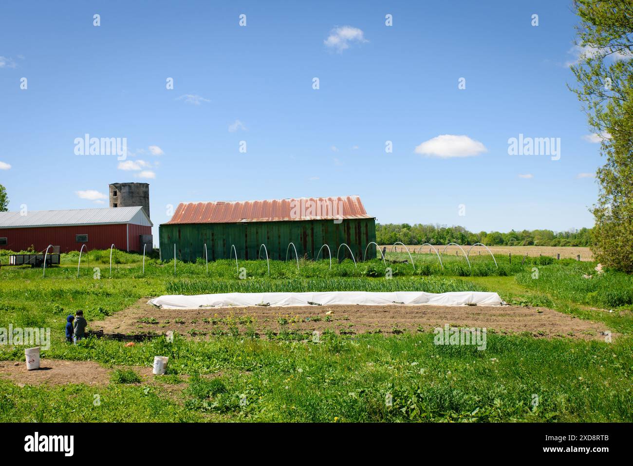 A small farm with a red barn, green shed, silo, and garden Stock Photo ...