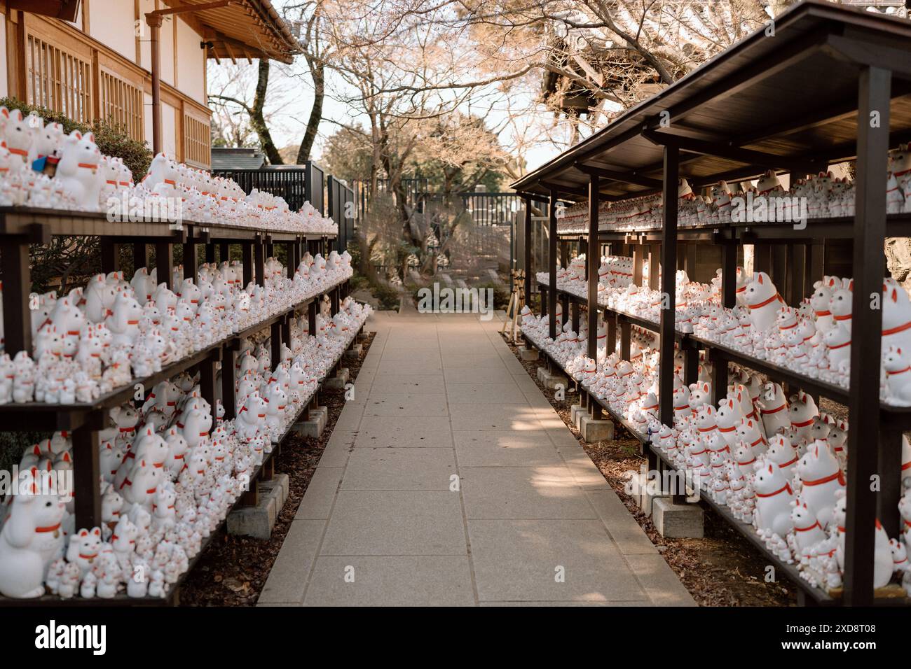 Pathway of Maneki-Neko at Gotokuji Temple, Tokyo, Japan Stock Photo - Alamy