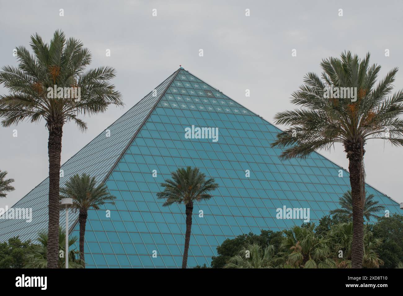 Modern glass pyramid behind tall palm trees in Galveston, Texas Stock ...