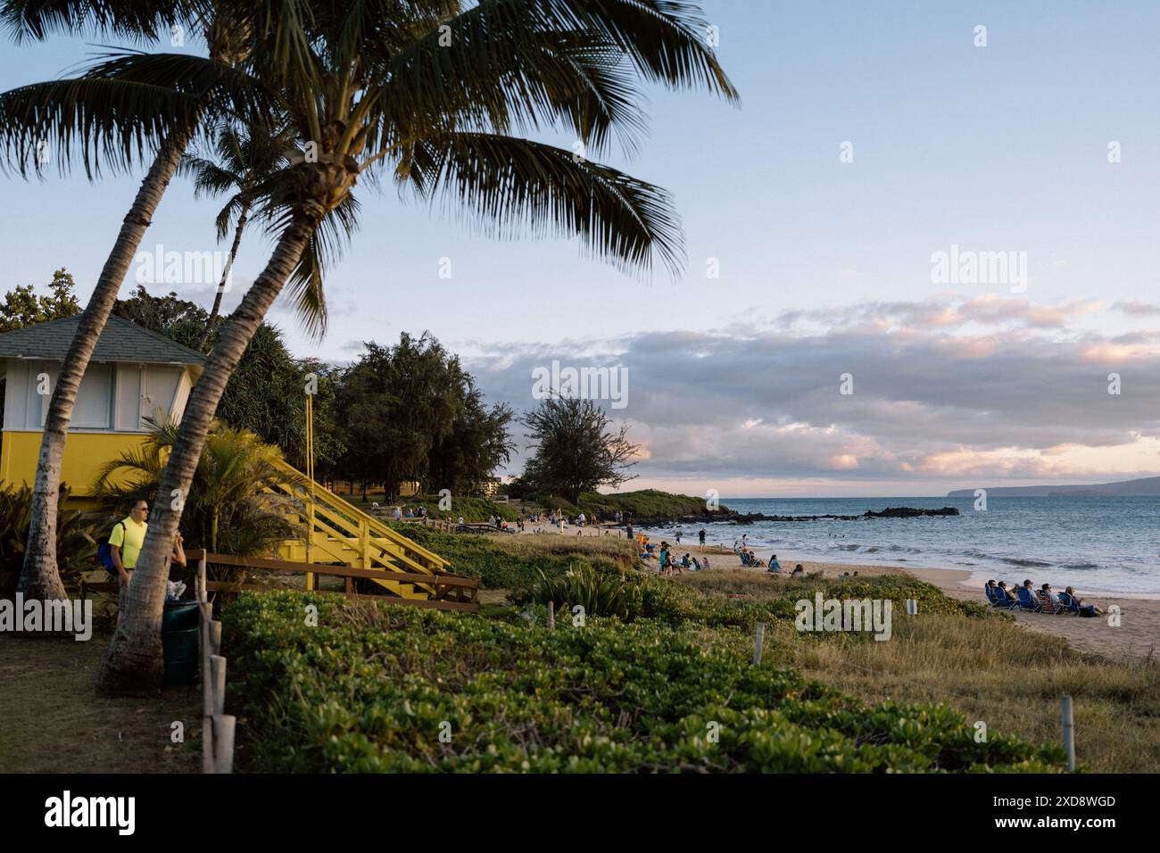 Picturesque tropical sunset palm trees hi-res stock photography and ...