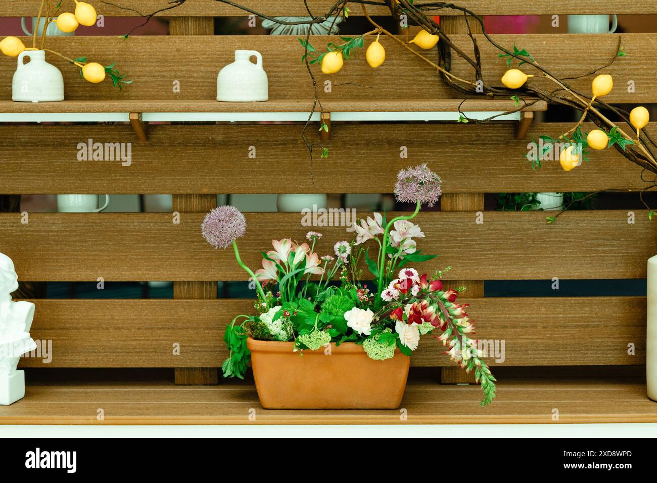 Elegant floral arrangement in pot hi-res stock photography and images ...