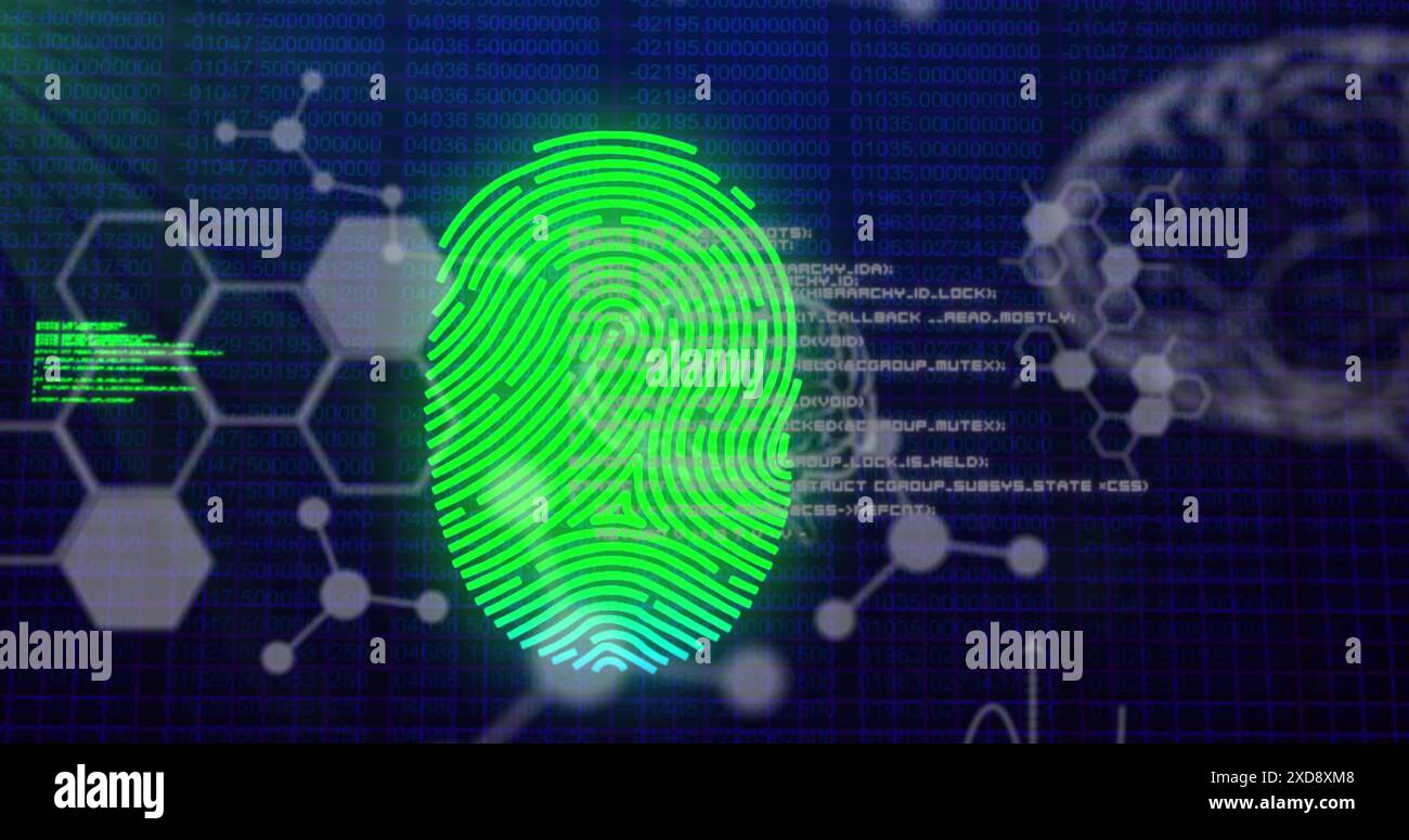 Image Of Fingerprint Computer Language Molecule Structure Human