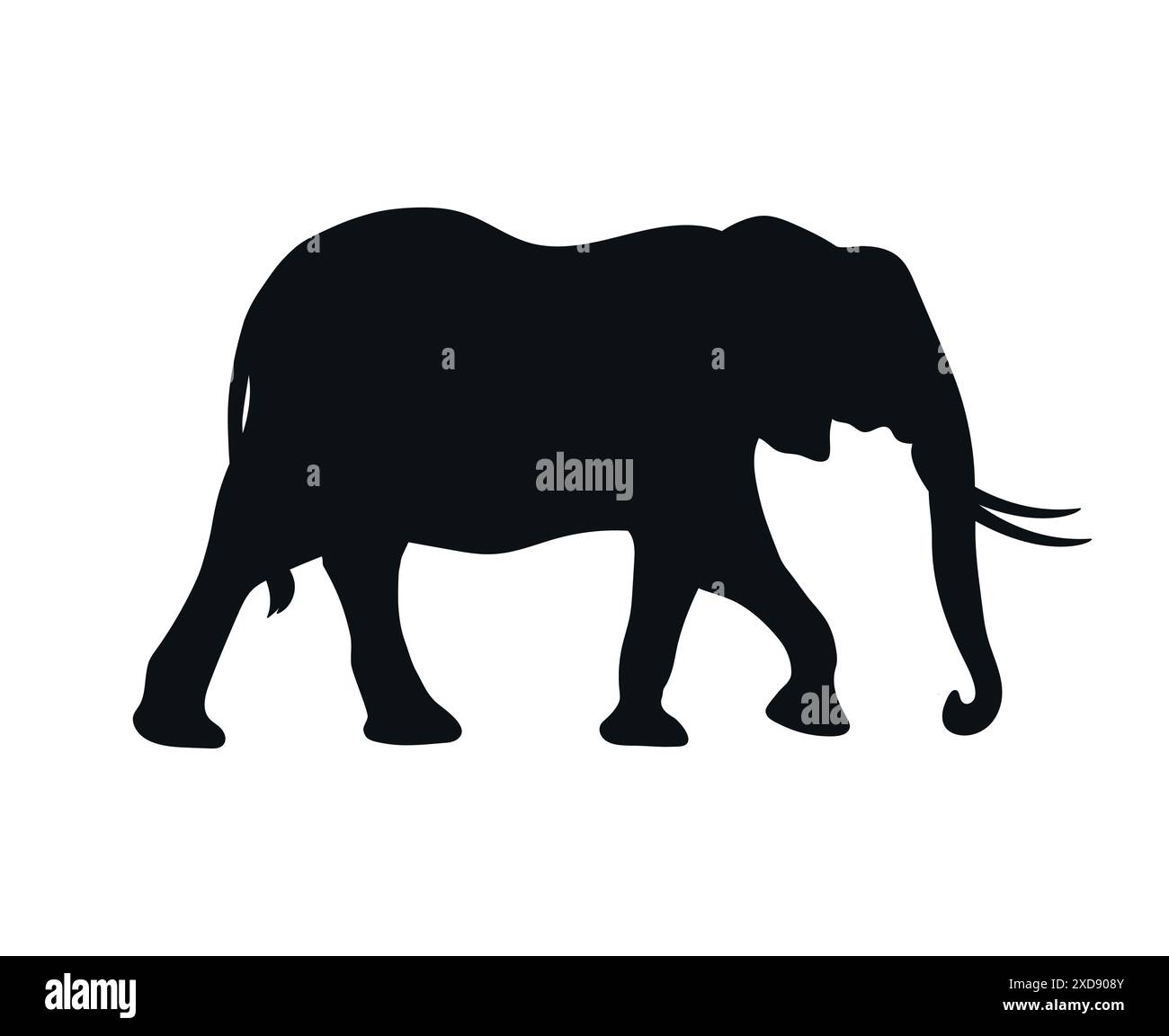 Walking elephant silhouette isolated on white background. Elephant ...