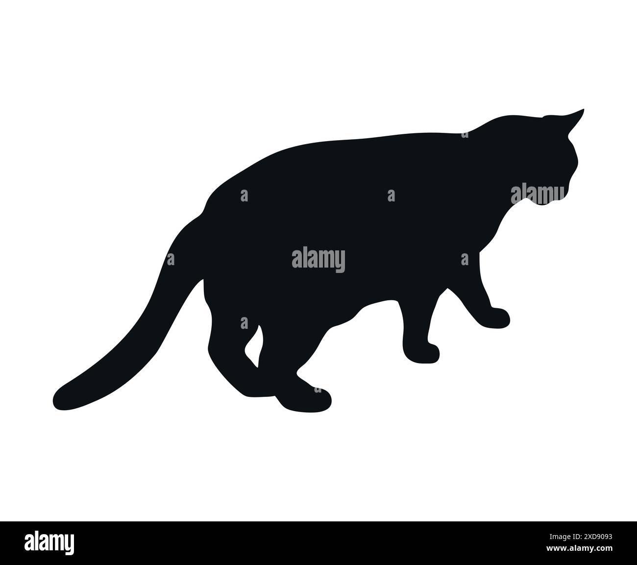 Standing cat silhouette isolated on white background. Feline shadow ...