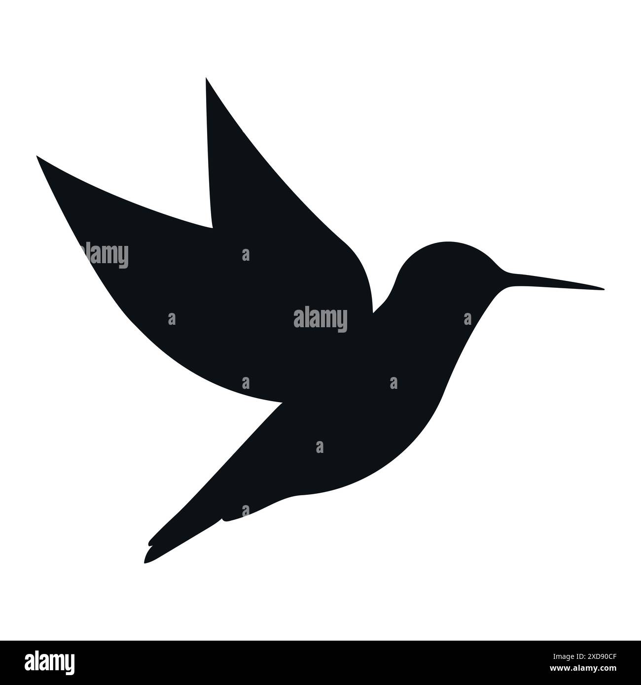 Colibri bird silhouette isolated on white background. Hummingbird shadow. Vector illustration ...