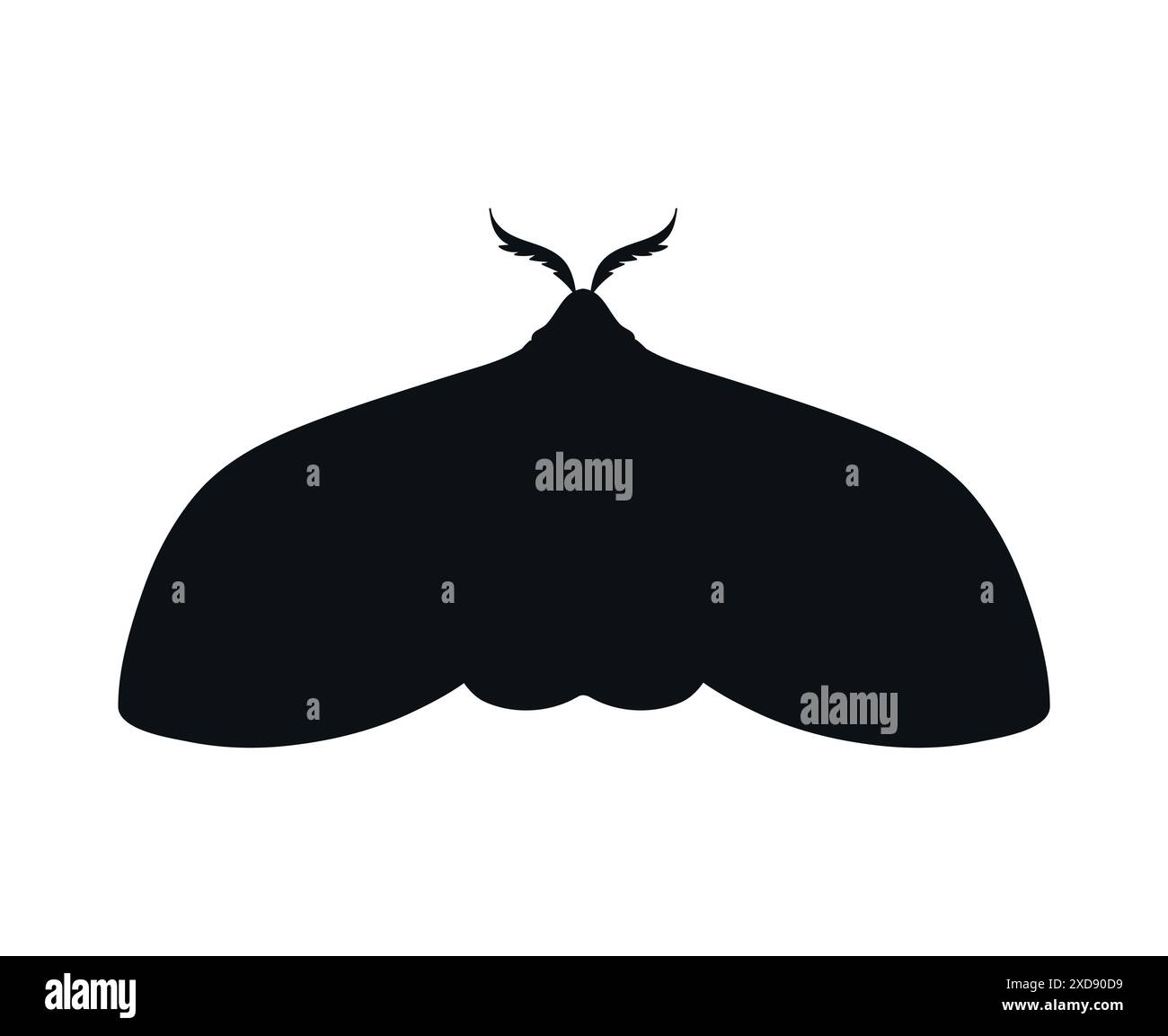 Moth silhouette isolated on white background. Vector illustration Stock ...