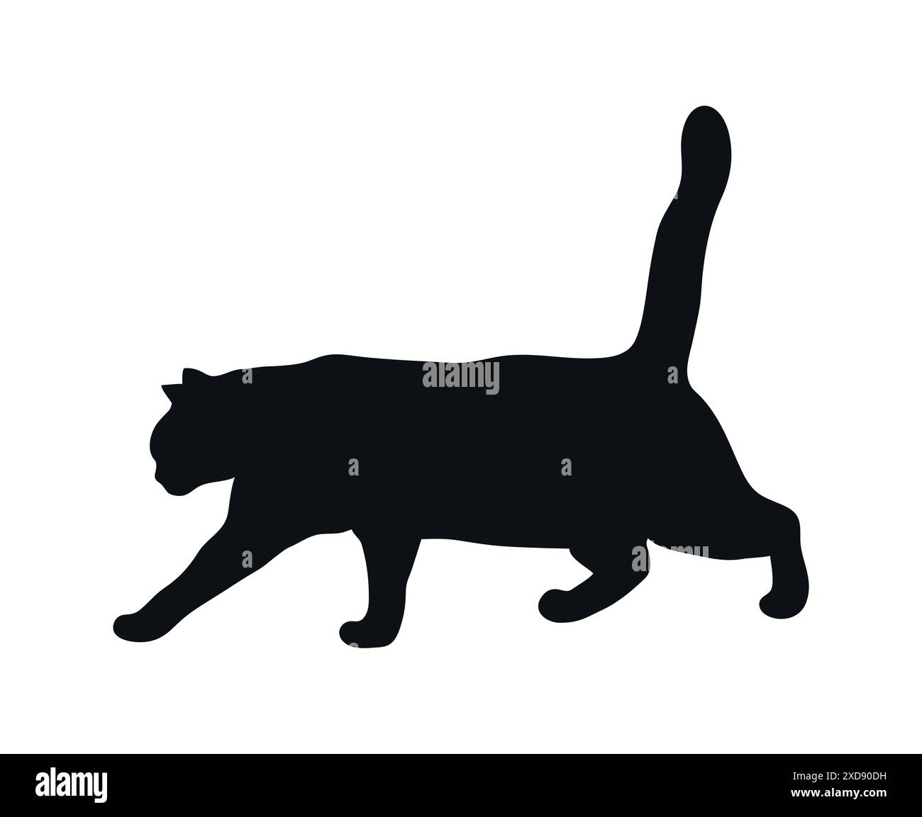 Walking cat silhouette isolated on white background. Pet shadow. Feline ...