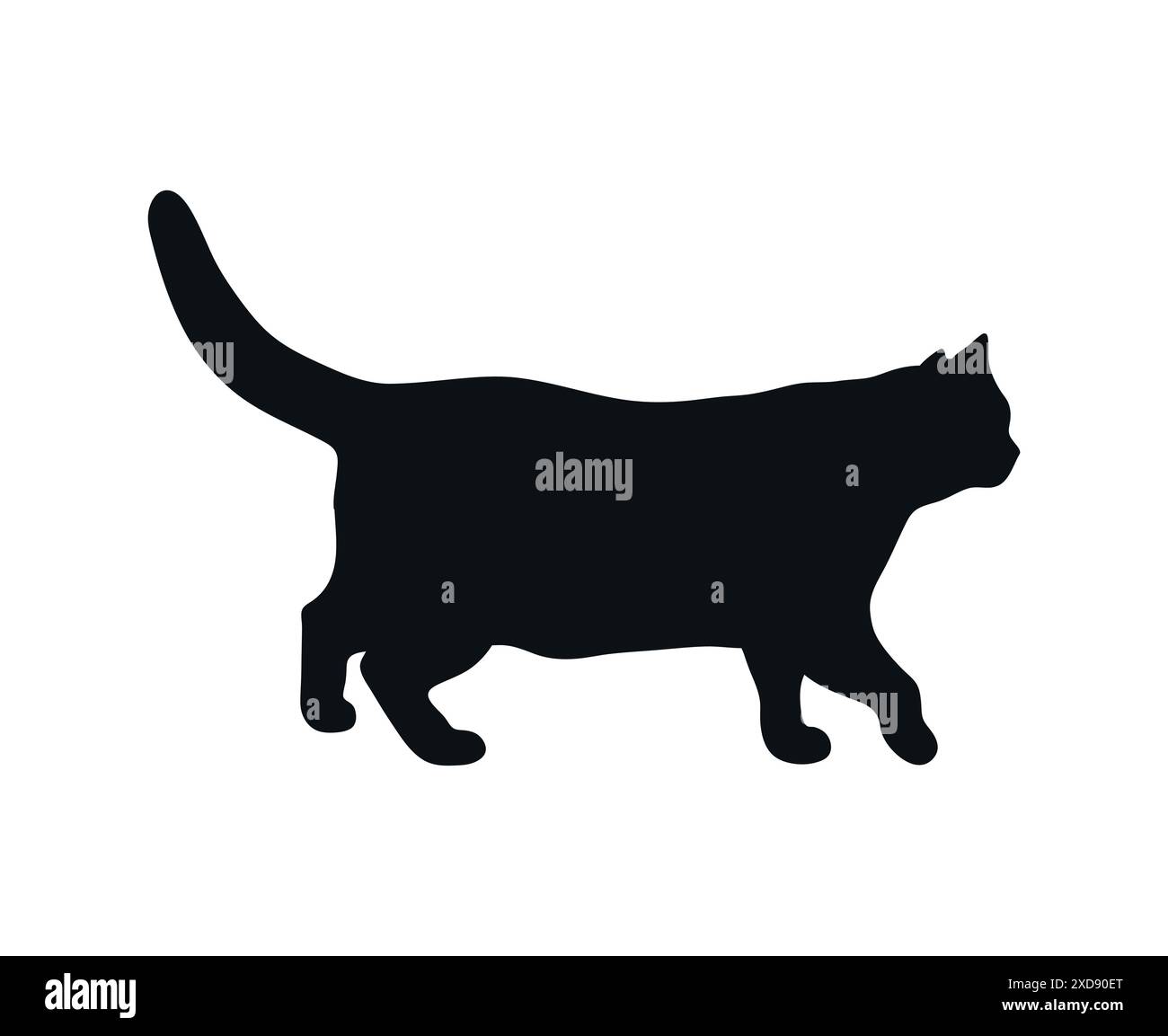 Walking cat silhouette isolated on white background. Feline shadow ...