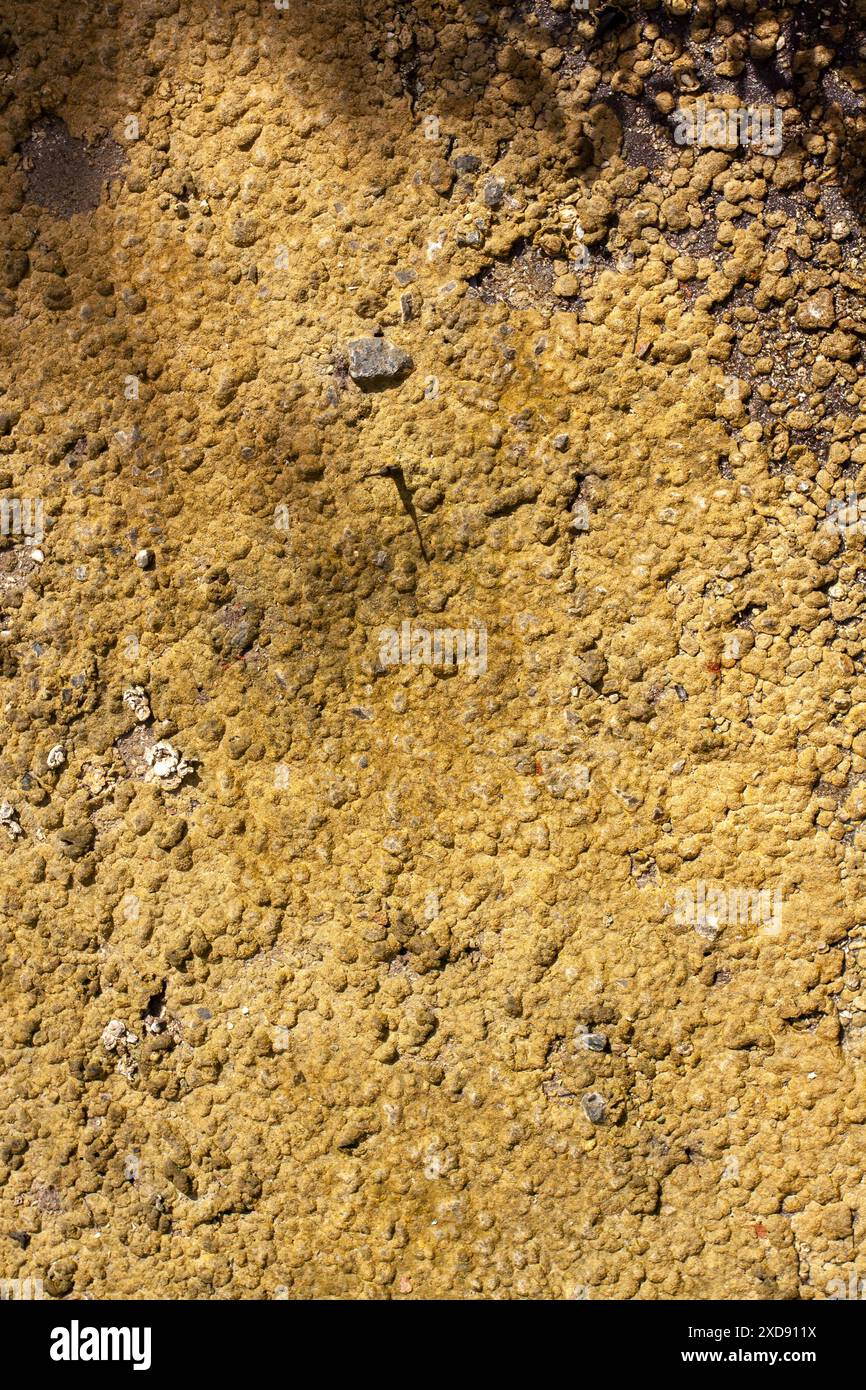 Soil background with pebbles and dried silt. Vertical photo Stock Photo ...