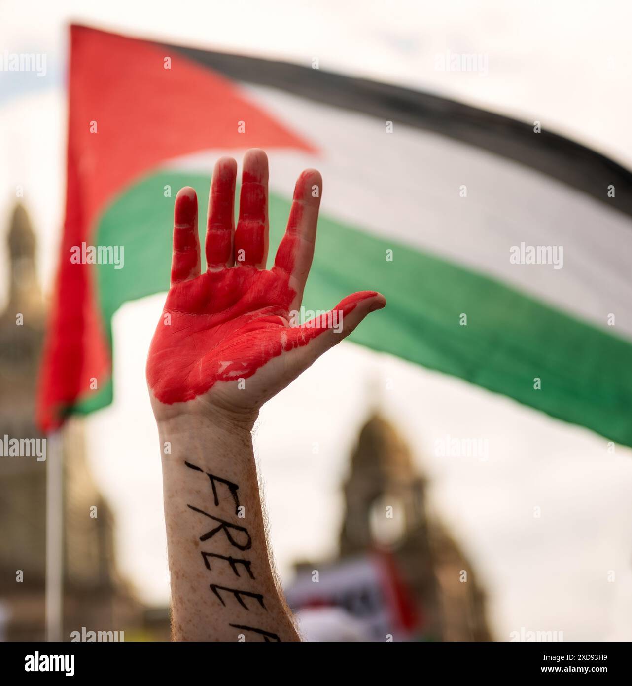 A large crowd of protesters at a pro Palestine march marking 200 days ...