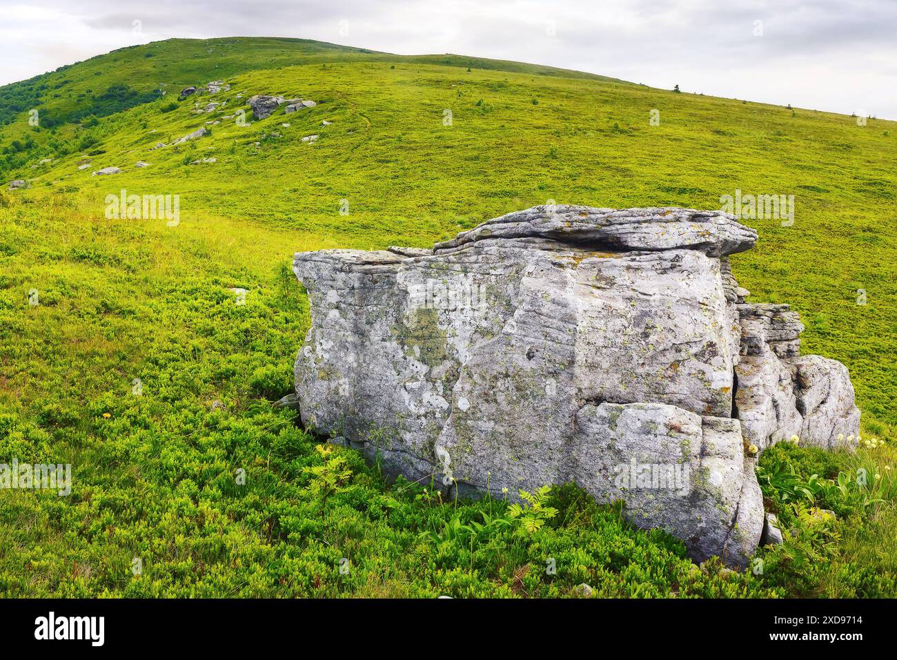 alpine landscape of carpathian mountains in summer. stones and boulders on the grassy hill ...