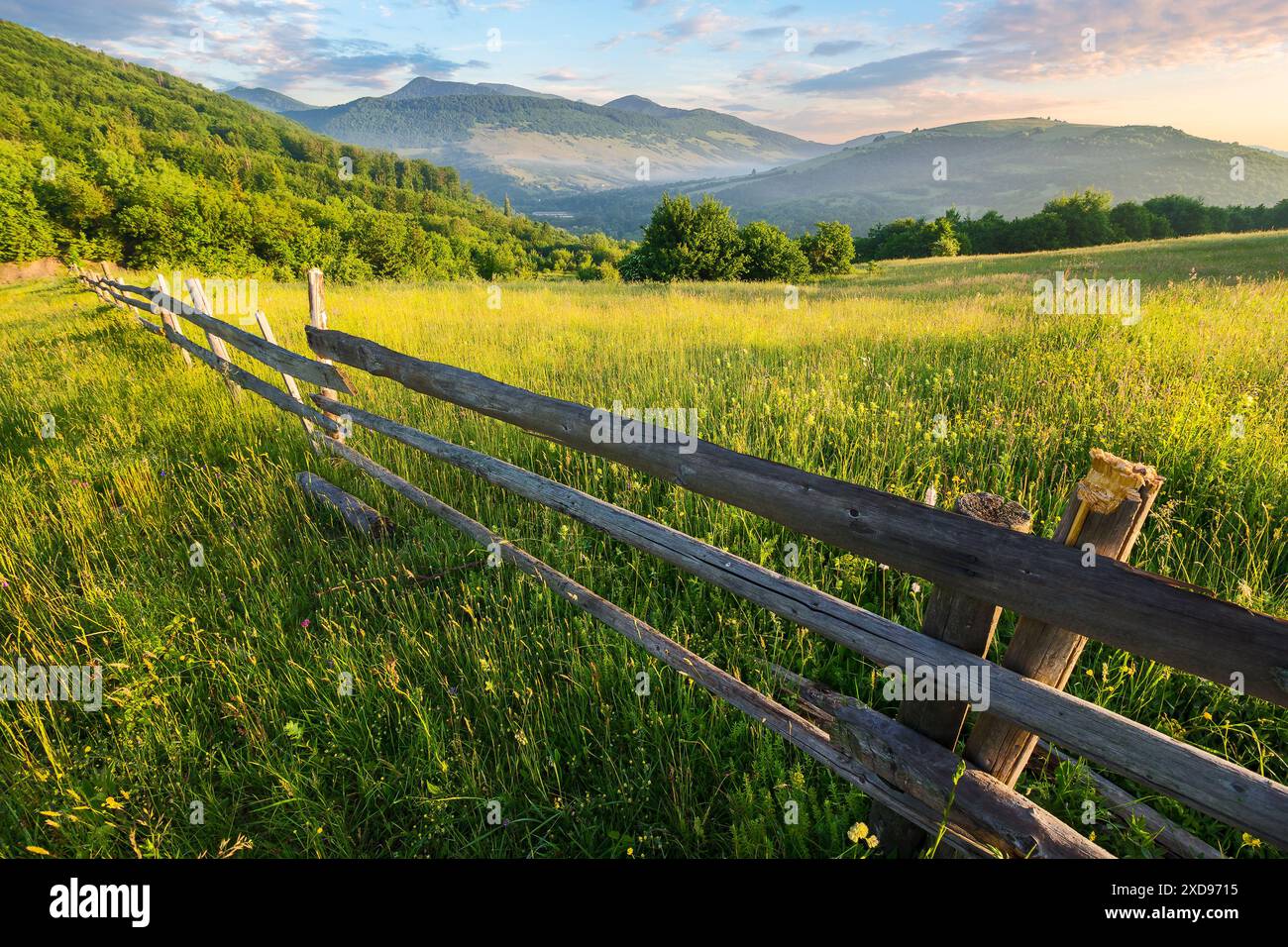 Wooden fence across grassy hi-res stock photography and images - Alamy
