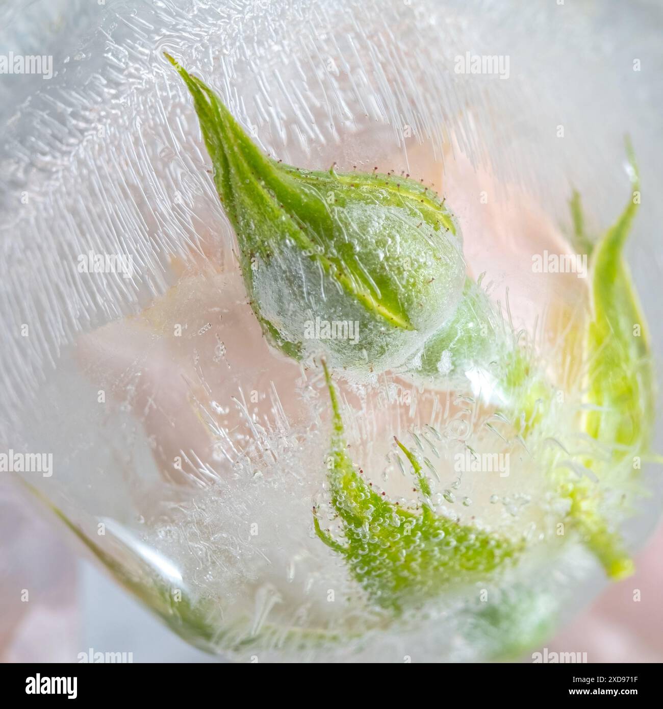 Refreshing designs hi-res stock photography and images - Alamy
