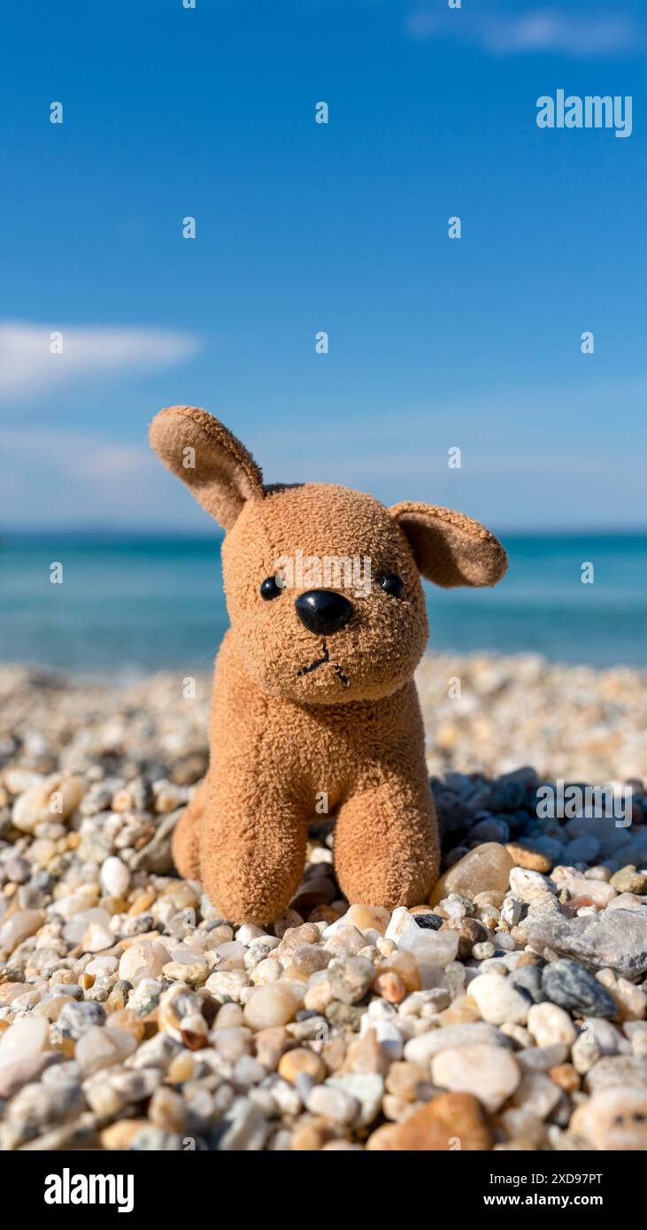 A small funny plush dog on a pebble beach Stock Photo - Alamy