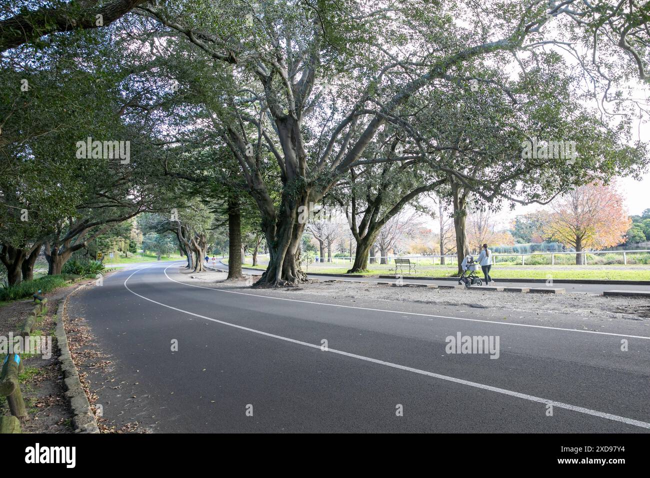 Centennial Park parklands in Sydney eastern suburbs on a winters day in ...