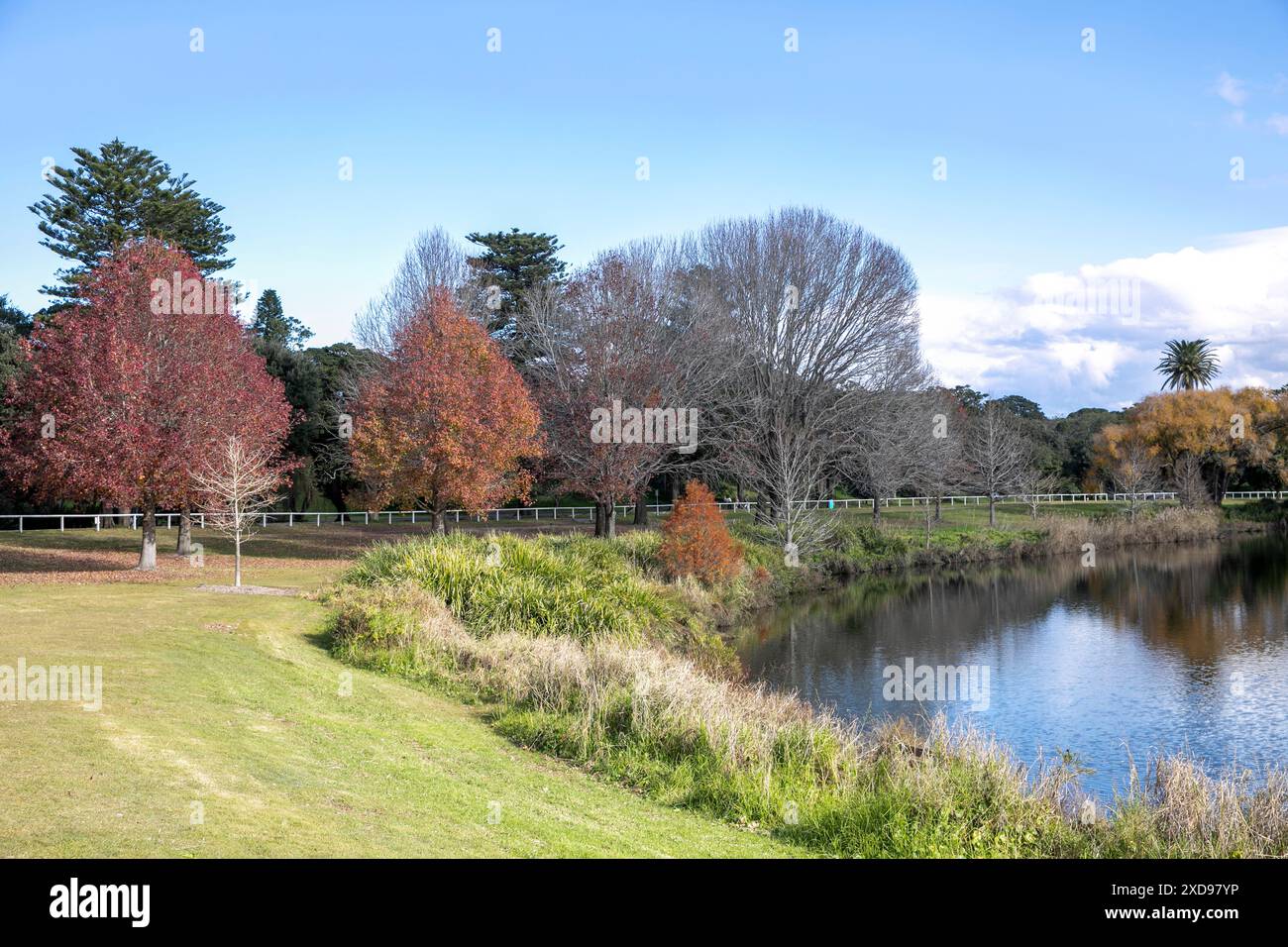Centennial Park parklands in Sydney eastern suburbs on a winters day in ...