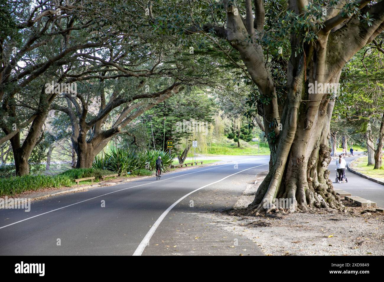 Centennial parklands sydney cycling hi-res stock photography and images ...