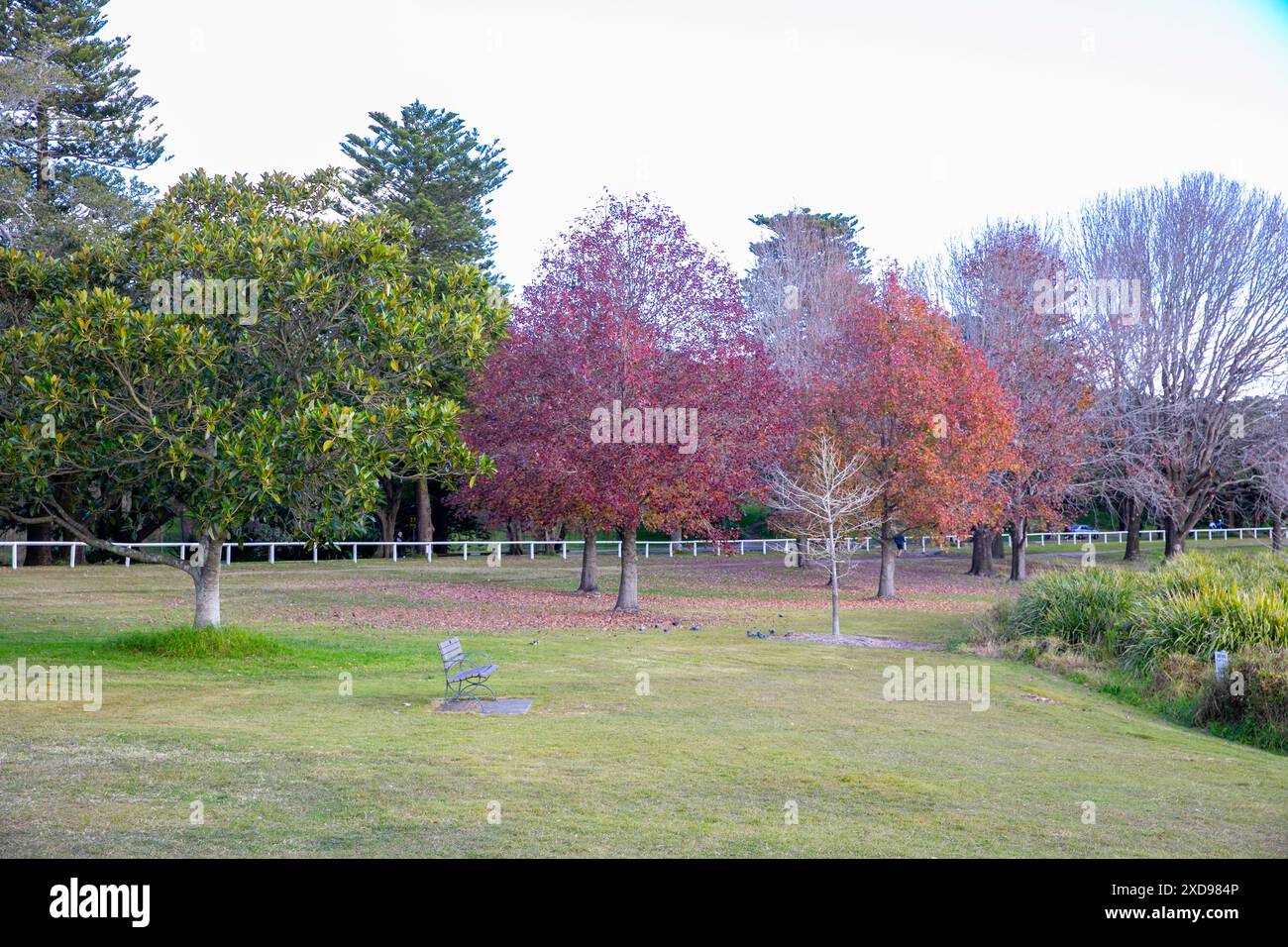 Centennial Park parklands in Sydney eastern suburbs on a winters day in ...