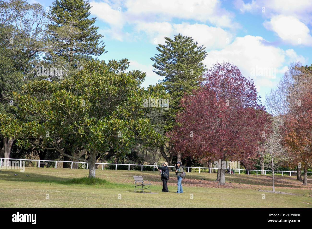 Centennial Park parklands in Sydney eastern suburbs on a winters day in ...