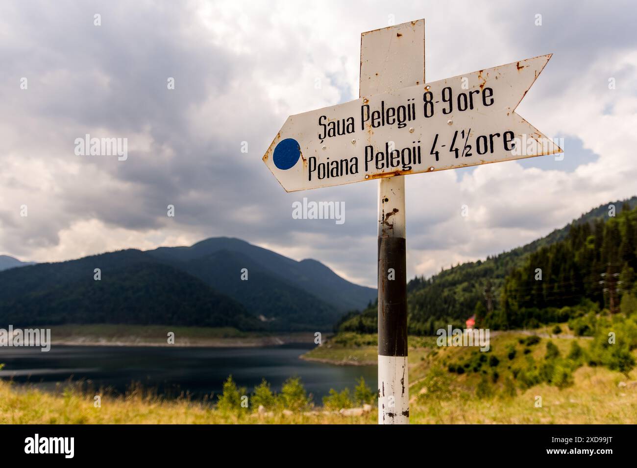 A vintage white sign by a lakeside road near Gura Apei, Retezat ...