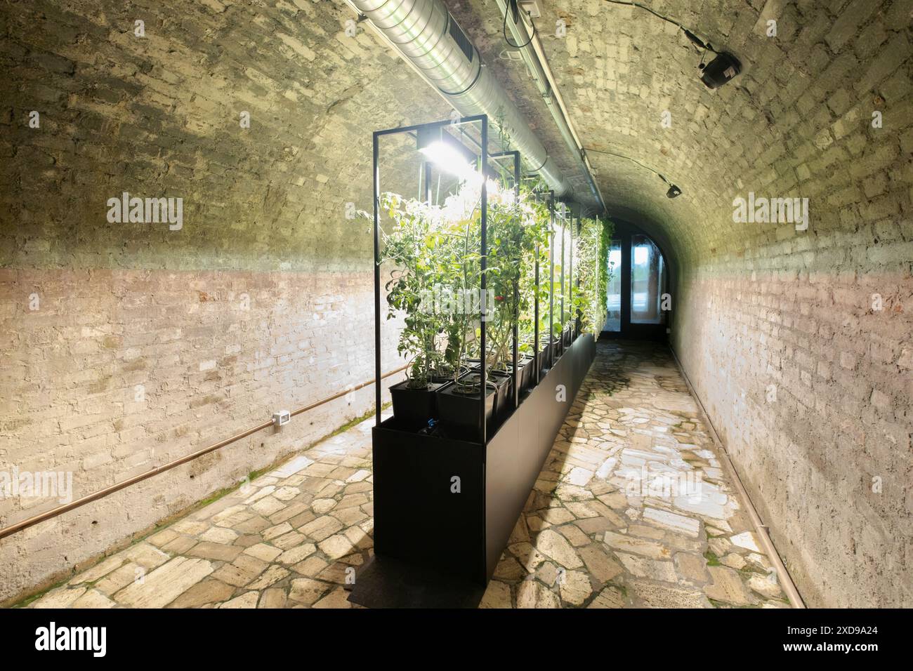 Dynamic root floating technique hi-res stock photography and images - Alamy