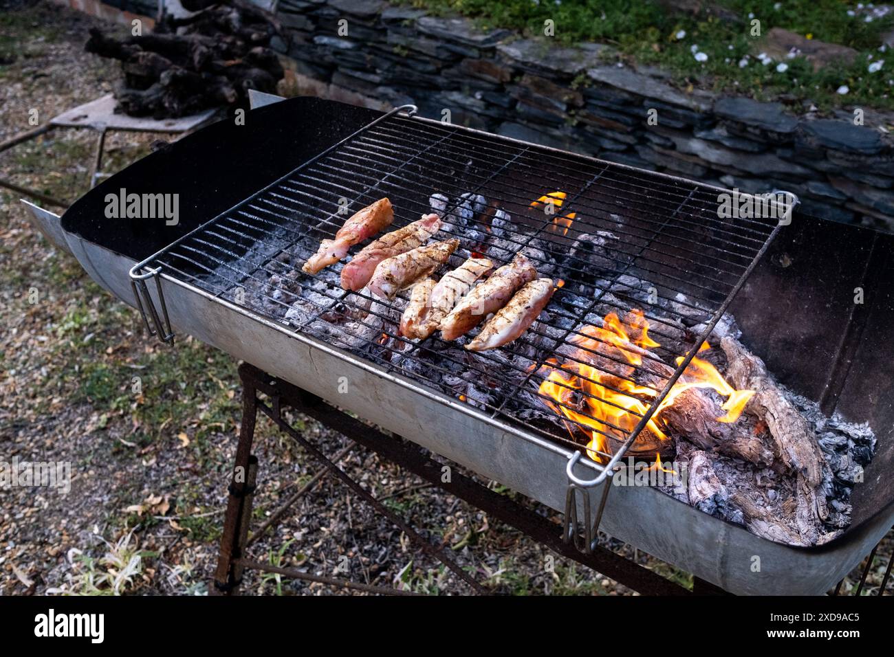 Grilled meat barbecue with chicken at Les Alleuds in Anjou in the Maine ...