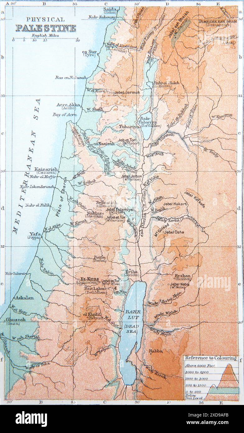 19th Century Map of Physical Palestine in Antique Self-Explanatory ...
