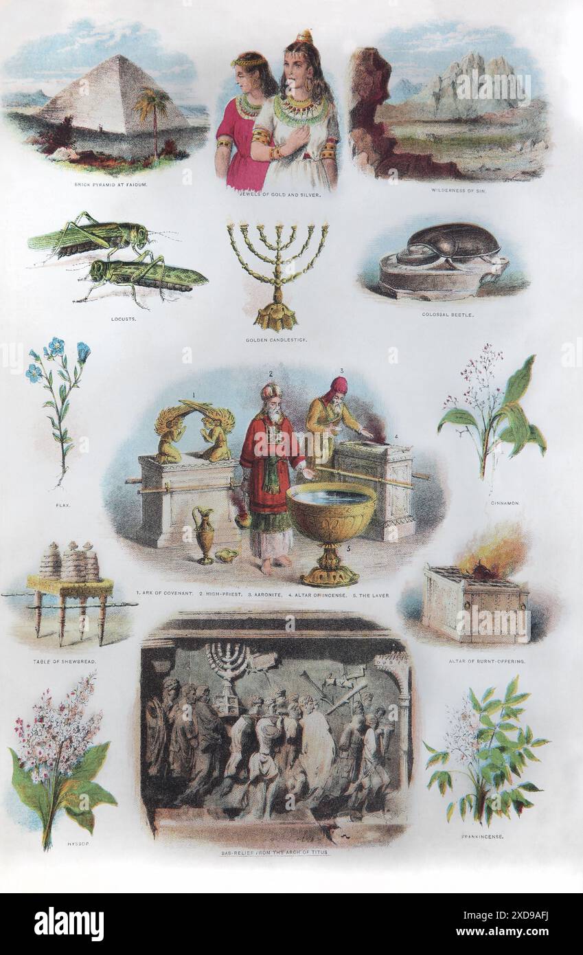 Page from A Holy Bible Depicting Scenes of the Old Testament -High ...