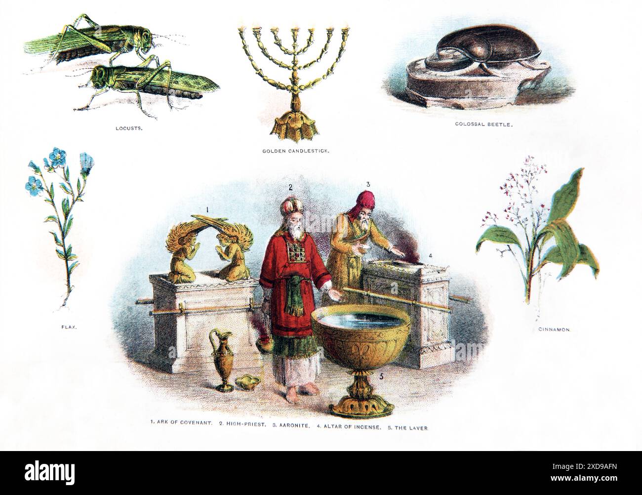 Tabernacle ark of the covenant hi-res stock photography and images - Alamy