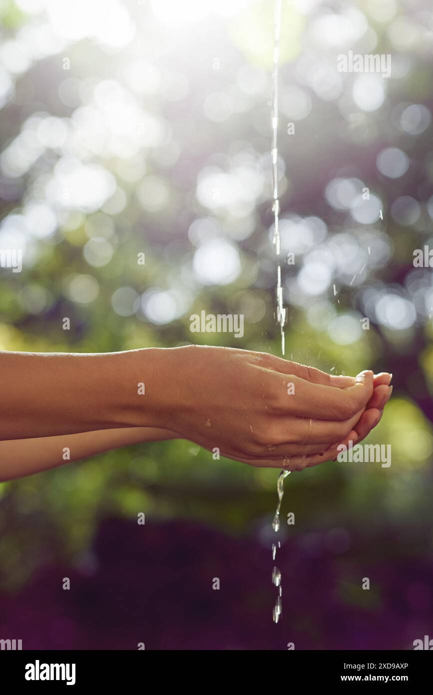 Outdoor, woman and hands with nature, cleaning and sunshine with spring ...