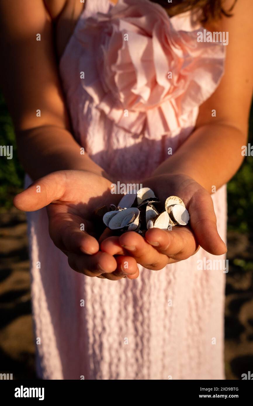 Coquillage été hi-res stock photography and images - Alamy