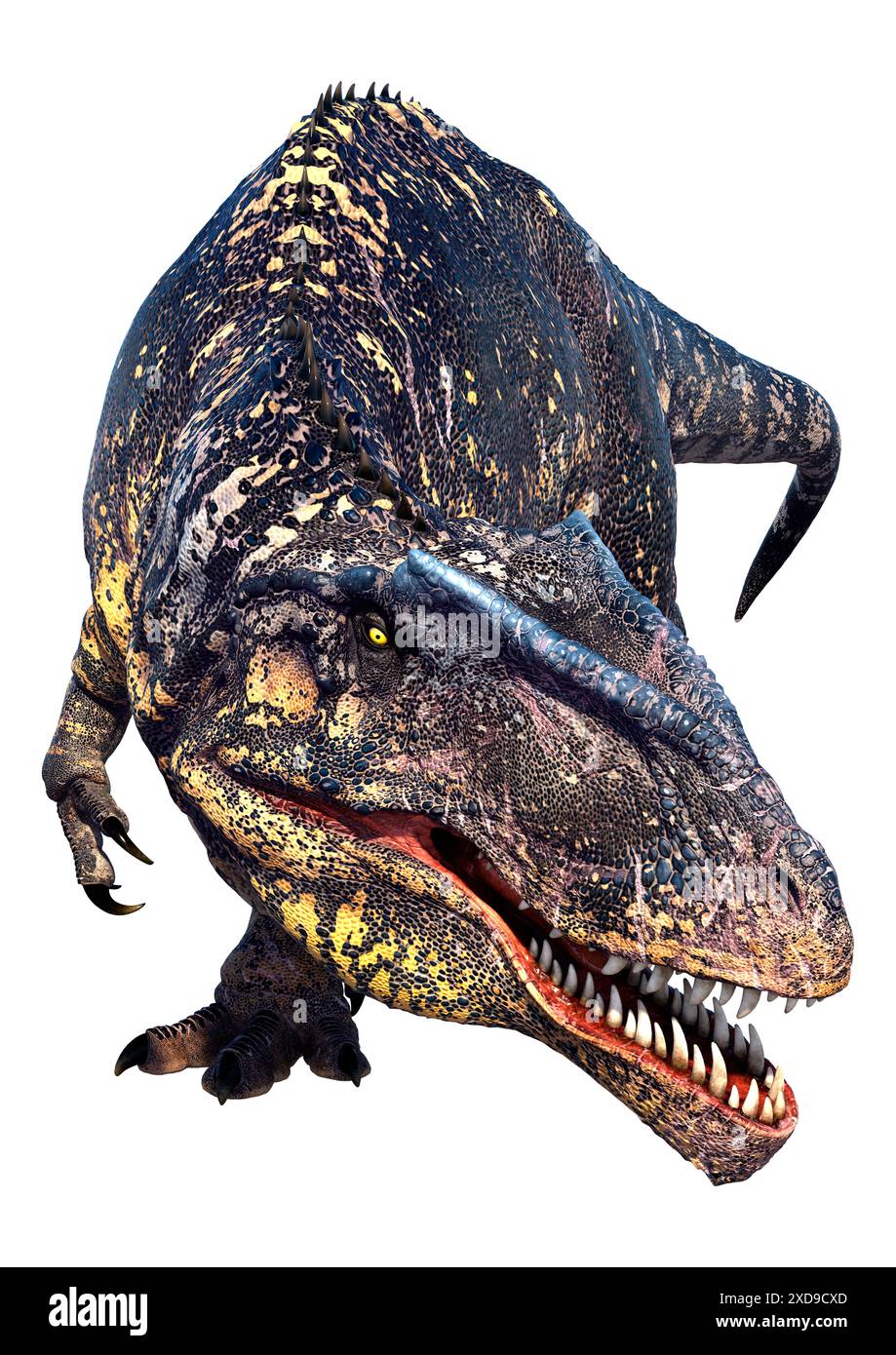 3D rendering of a dinosaur gigantosaurus isolated on white background Stock Photo - Alamy