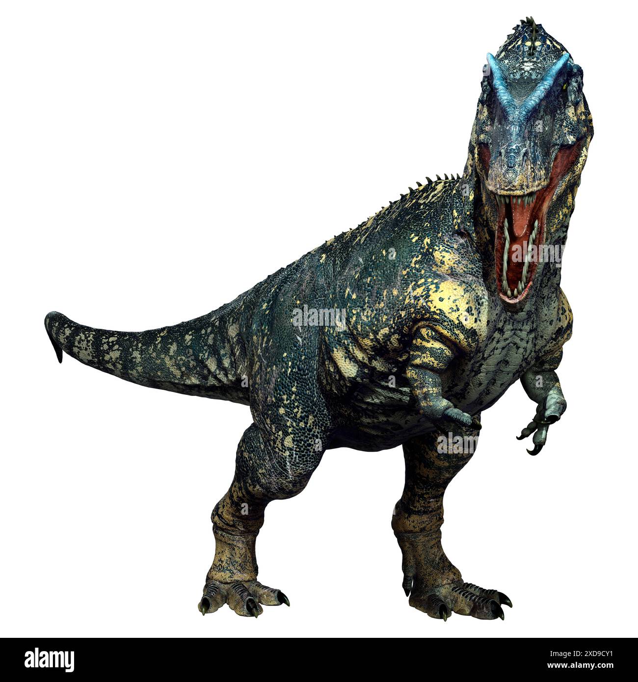 3D rendering of a dinosaur gigantosaurus isolated on white background Stock Photo - Alamy