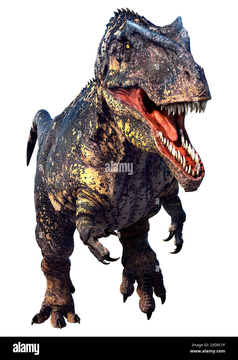 3D rendering of a dinosaur gigantosaurus isolated on white background Stock Photo - Alamy