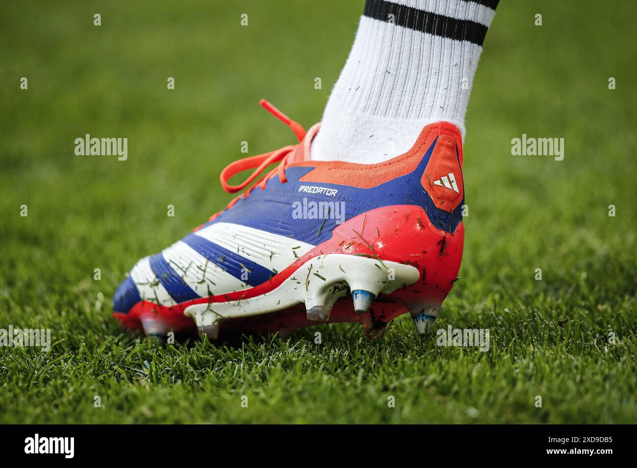 Predator elite fg advancement blue white red hi-res stock photography ...
