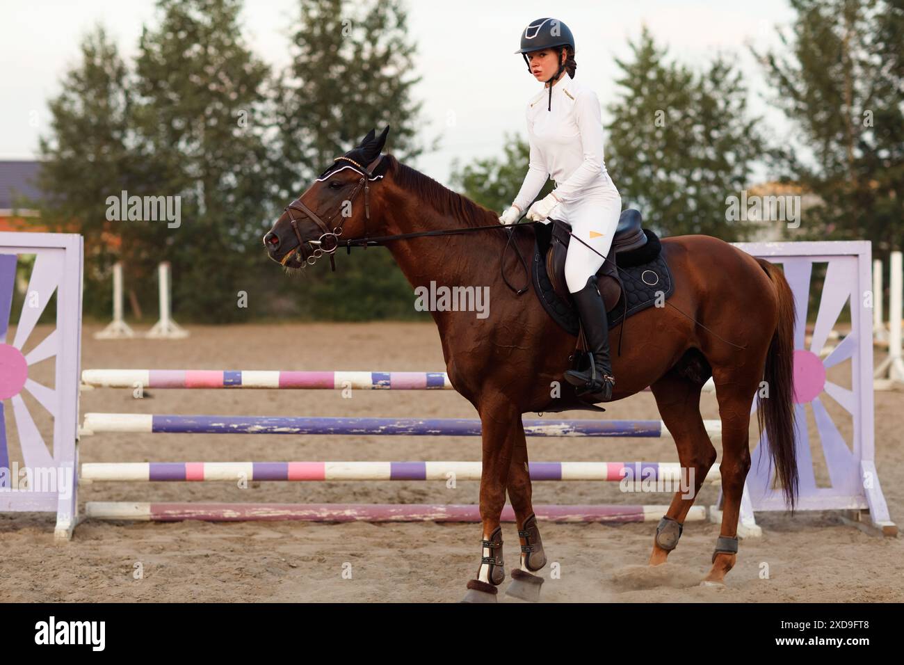 Dressage horse and rider in uniform during equestrian jumping ...